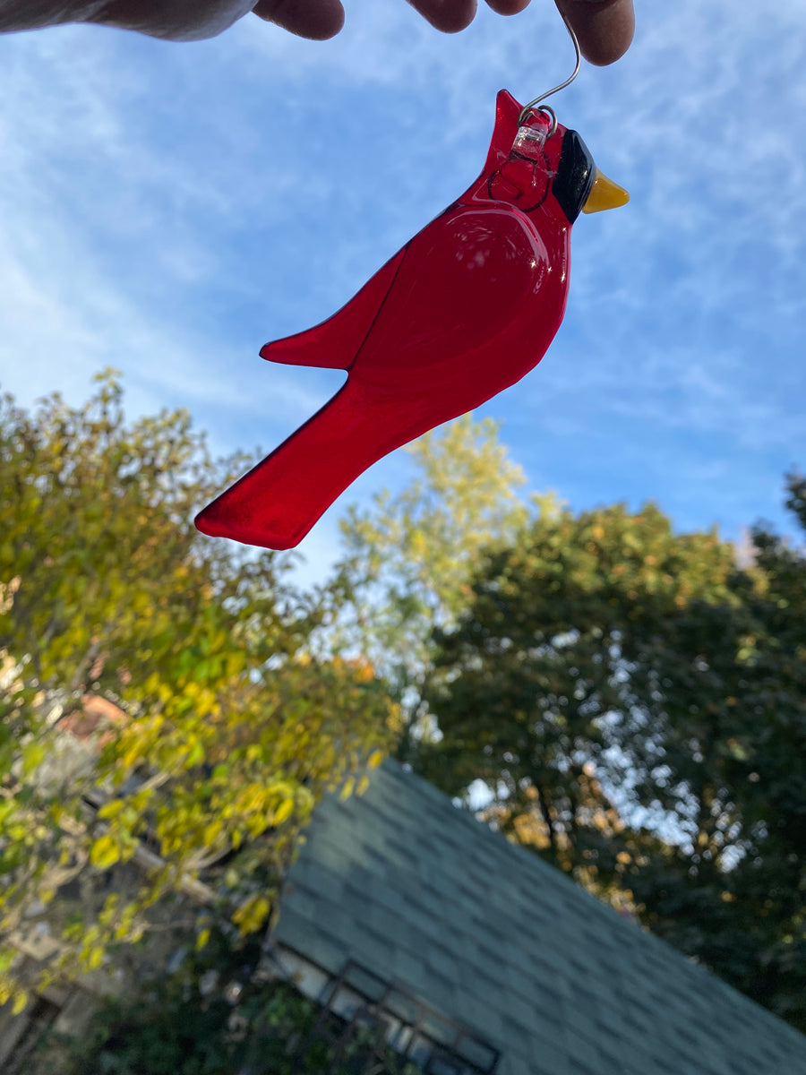 Cardinal – Kara’s Glass